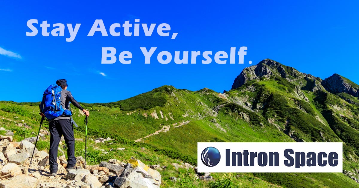 製品 - イントロン・スペース株式会社 Intron Space Inc.